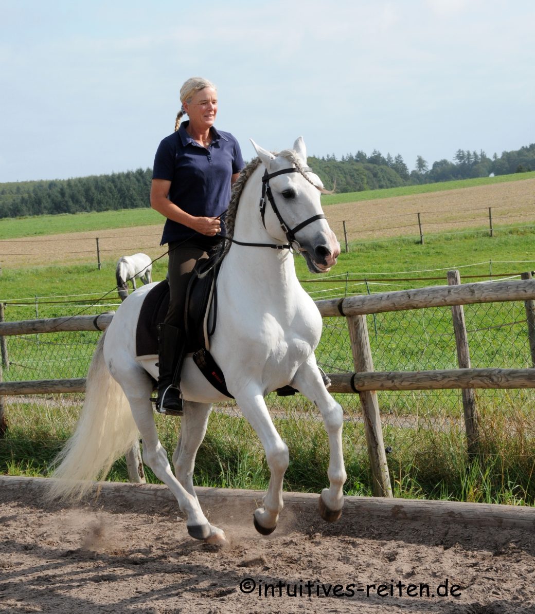 WORKING EQUITATION