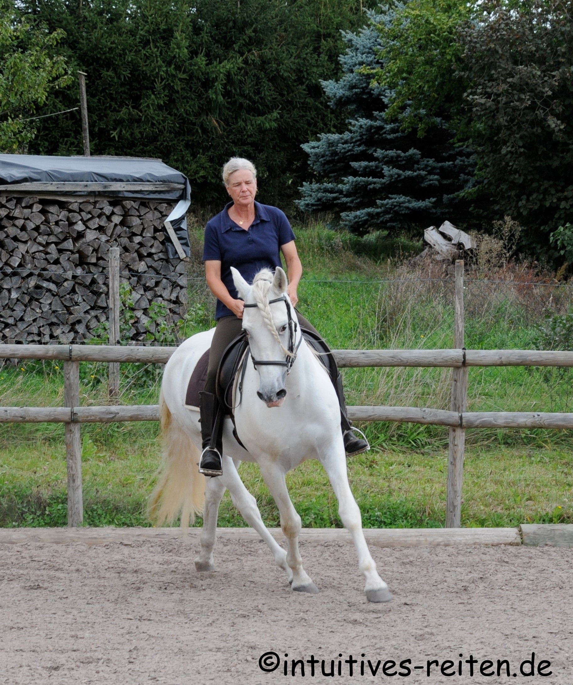 WORKING EQUITATION
